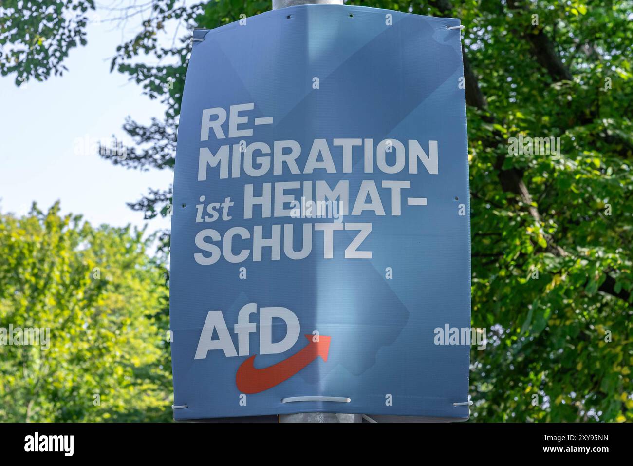 Deutschland 2024: Wahlplakate für die Landtagswahl 2024 in Sachsen Im ...