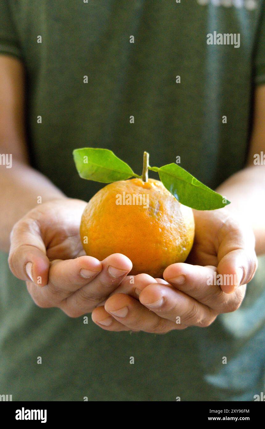 Orange, a healthy source of vitamin c Stock Photo - Alamy