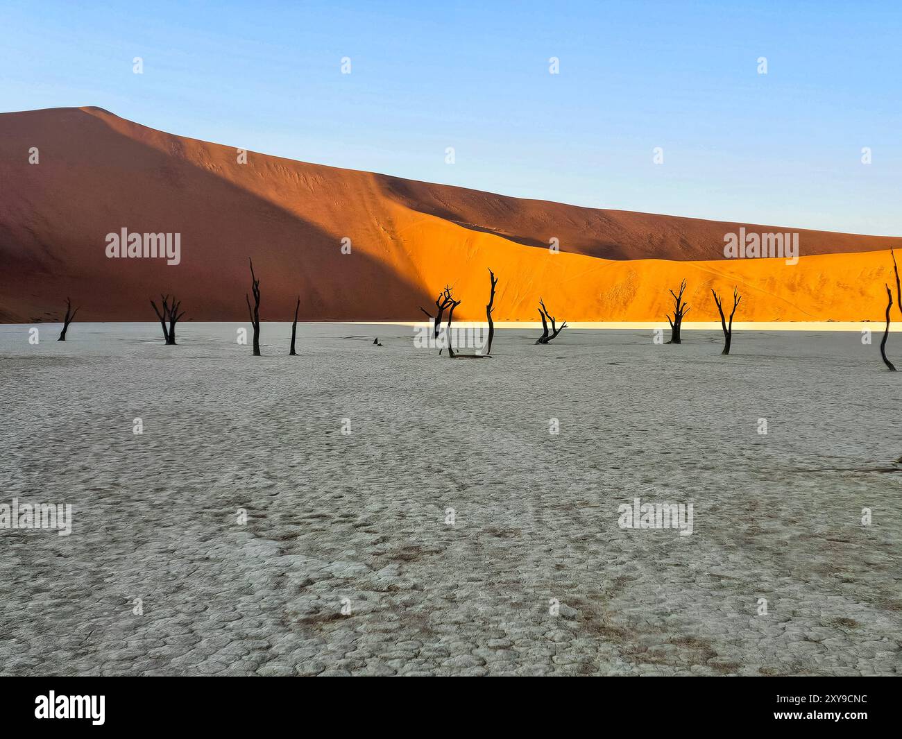 Deadvlei in Namibia is the site of 800 year-old skeleton trees Stock ...