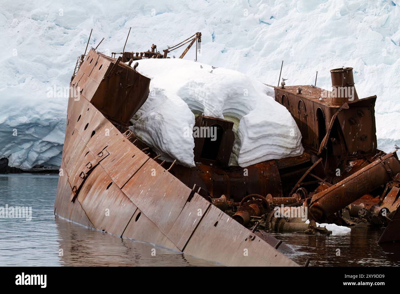 Views of the wreck of the Guvernoren, a 20th century whale processing ...
