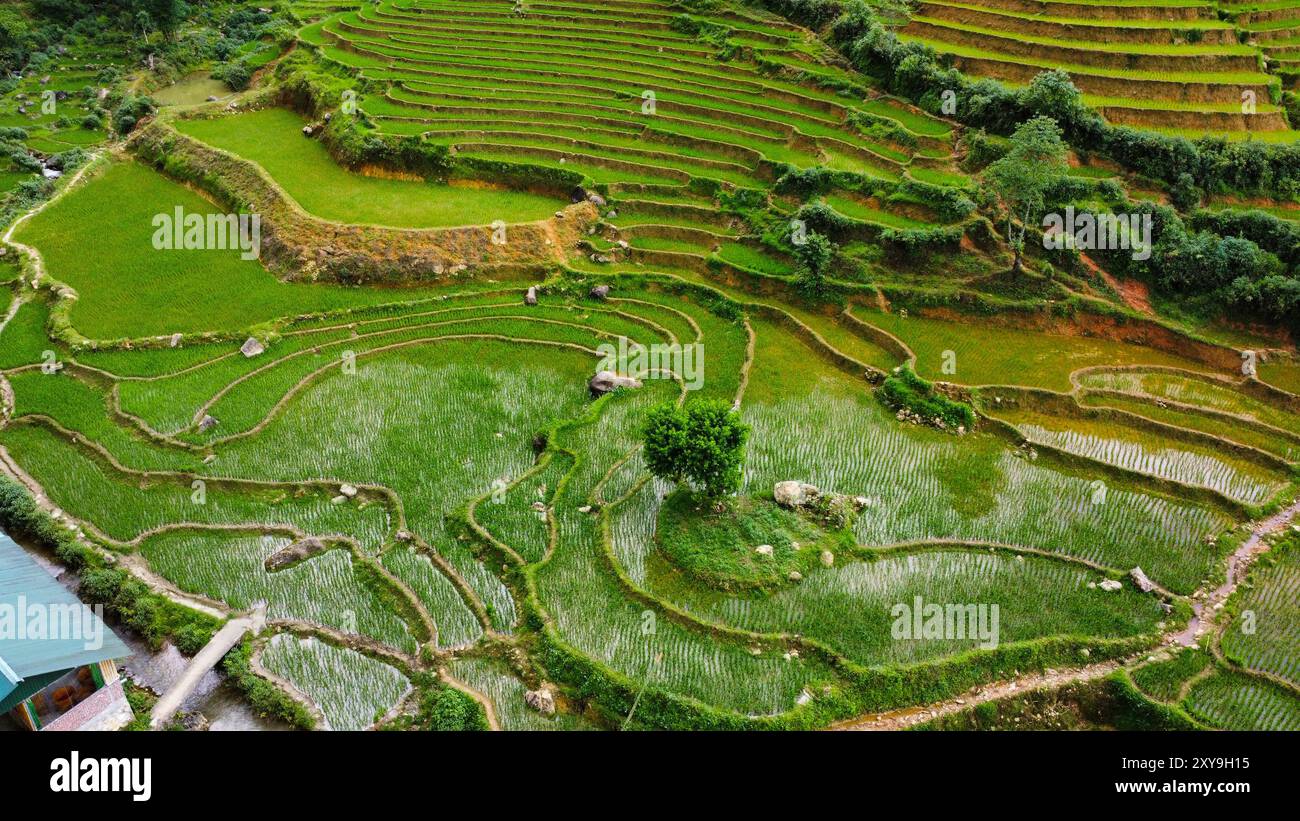 Rice terraces and a stream in the mountains of Sa Pa, Vietnam, seen ...
