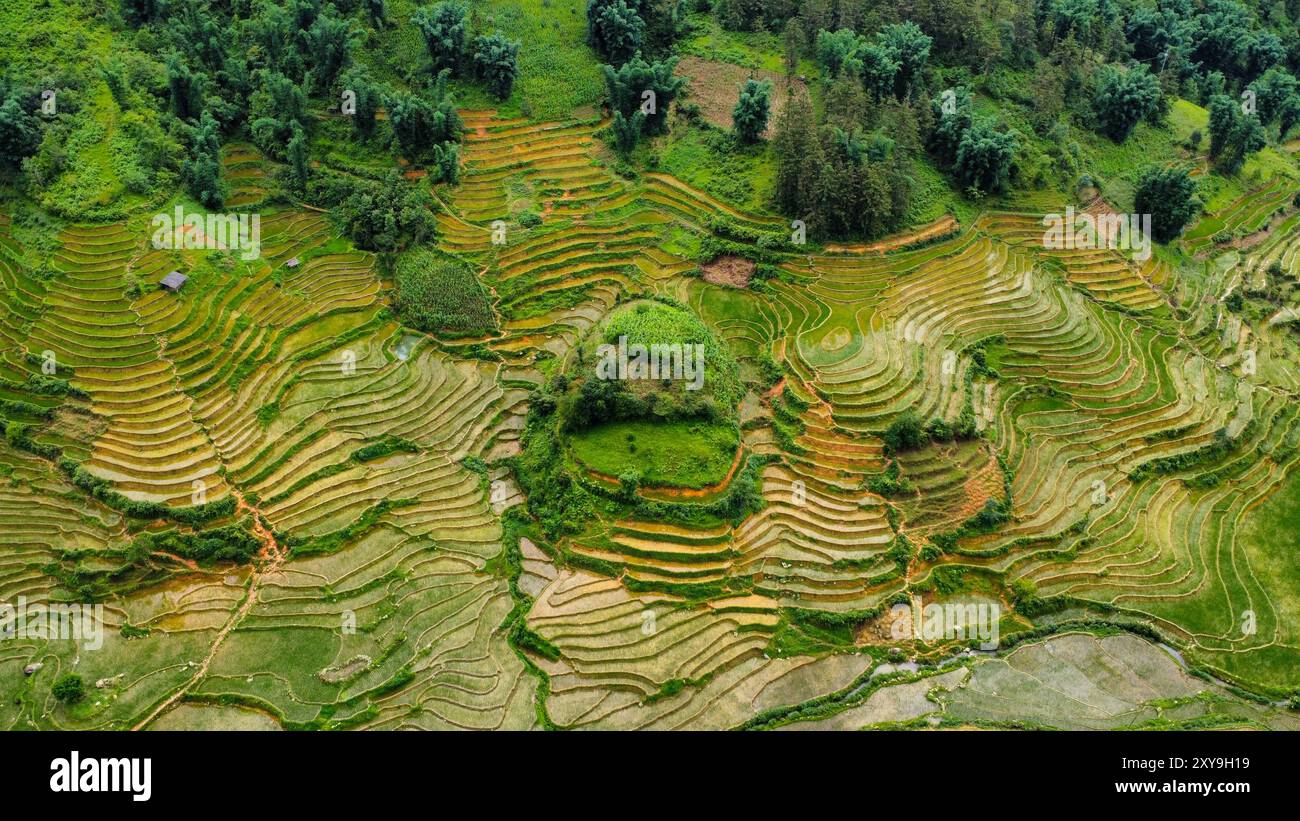 Rice terraces and a stream in the mountains of Sa Pa, Vietnam, seen ...