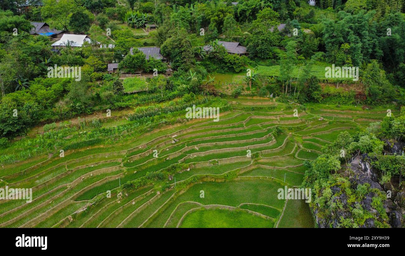 Rice terraces and a stream in the mountains of Sa Pa, Vietnam, seen from above Stock Photo - Alamy