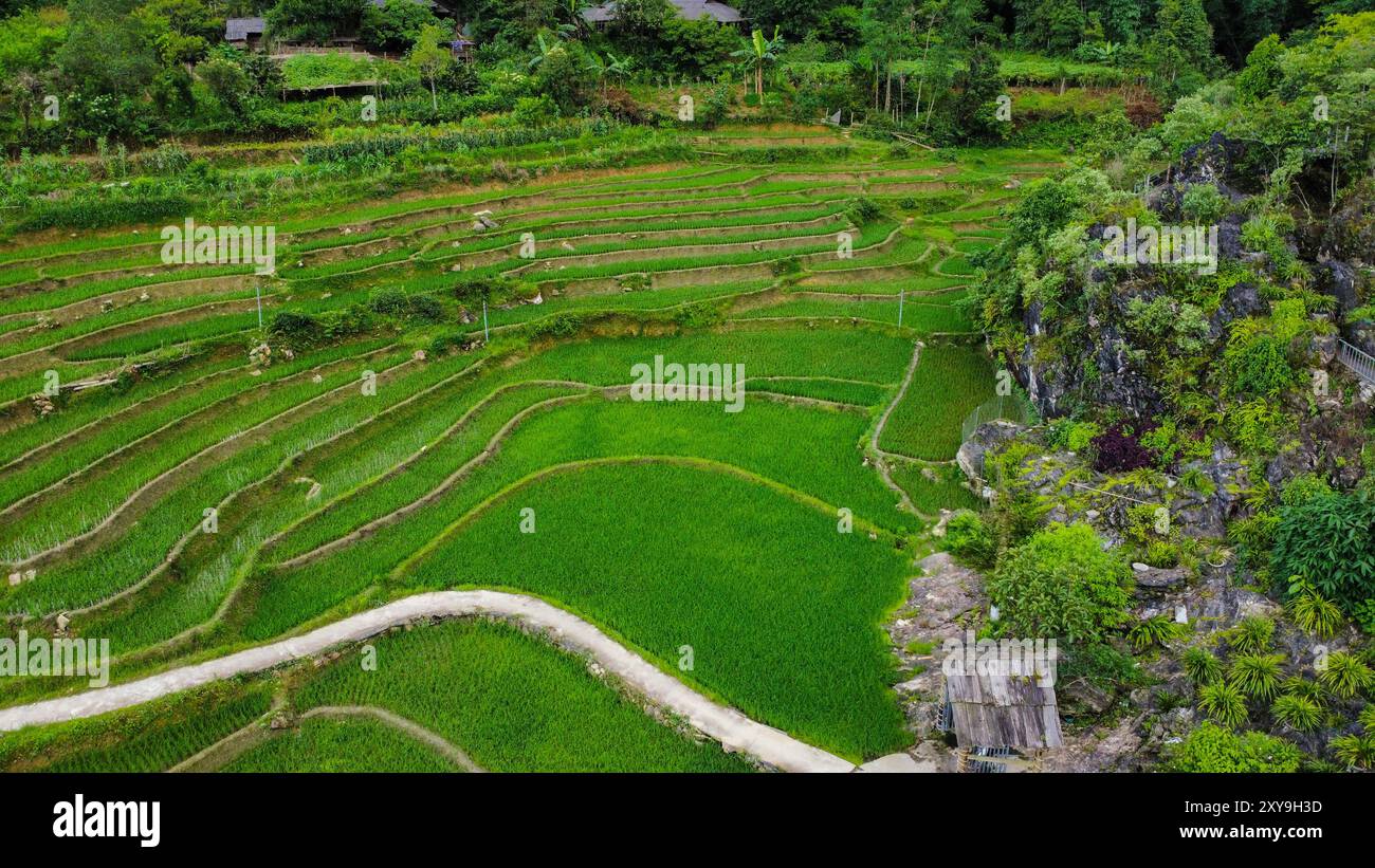 Rice terraces and a stream in the mountains of Sa Pa, Vietnam, seen ...