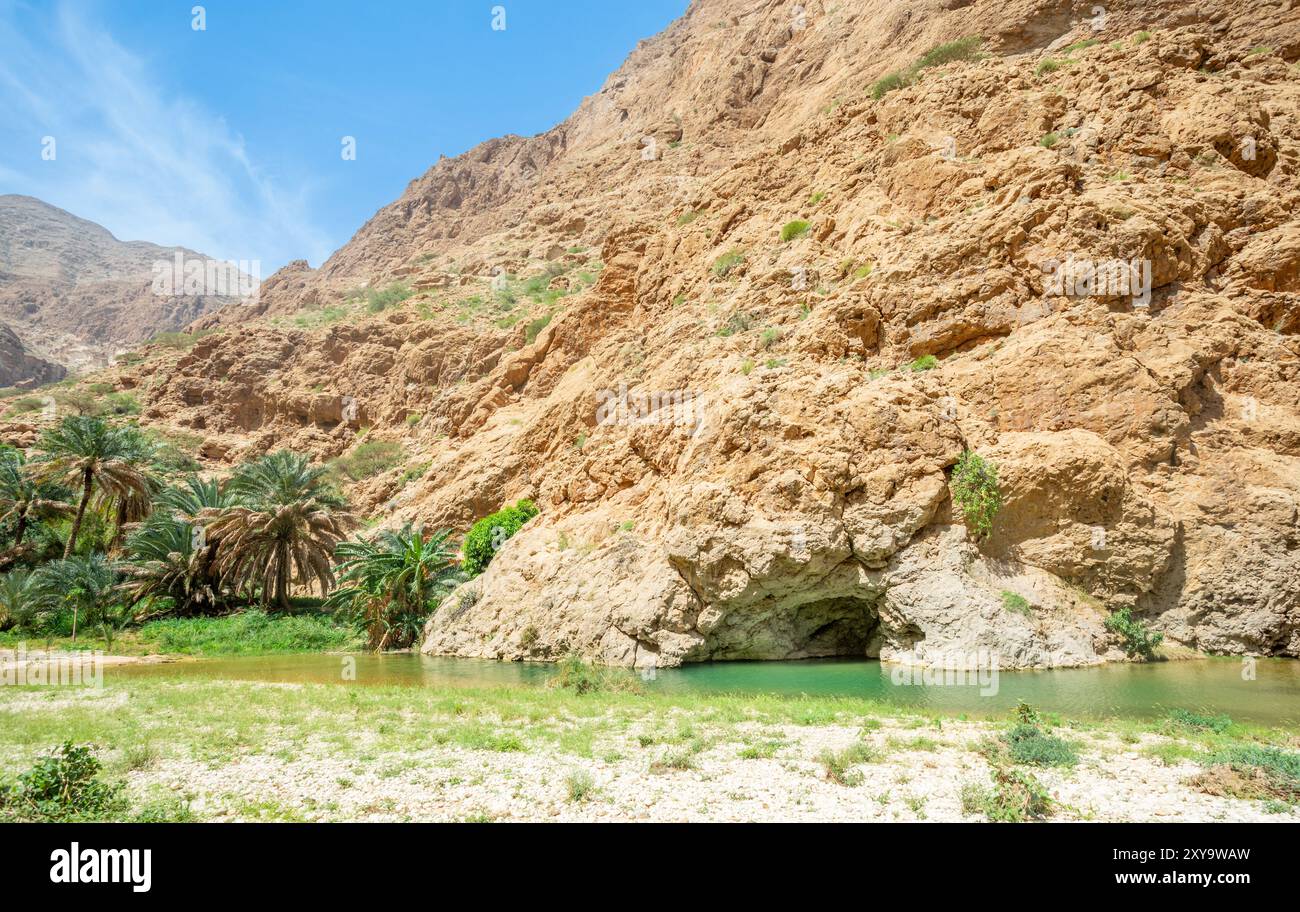 Green oasis water flow in the middle of Wadi Shab canyon, Tiwi ...