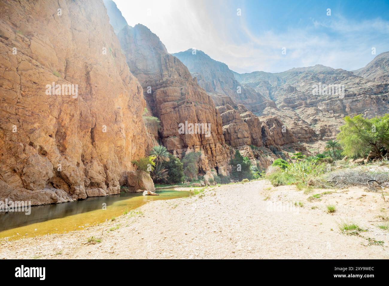 Green oasis with palms and river in the middle of Wadi Shab canyon ...