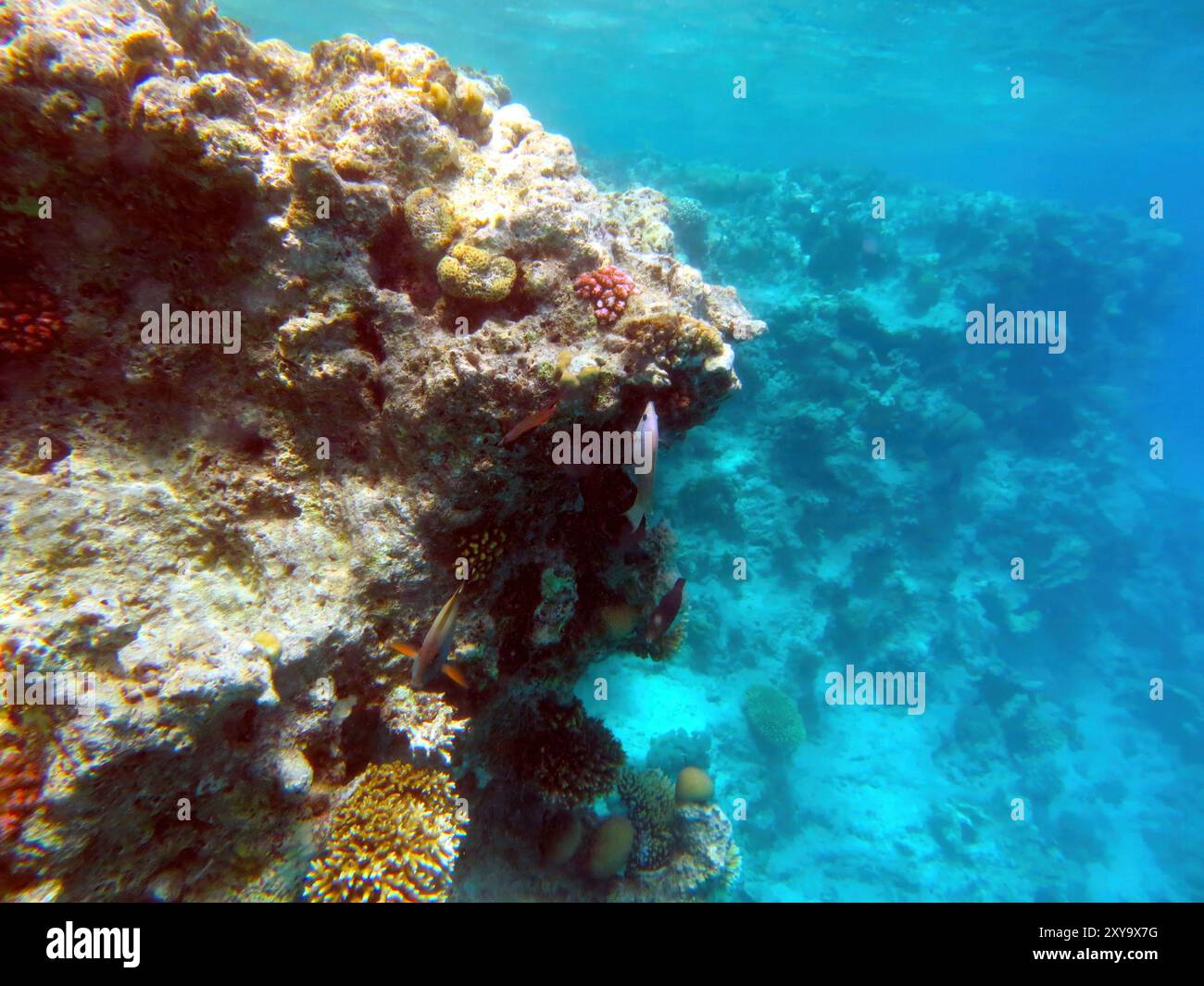 Coral formations hi-res stock photography and images - Alamy