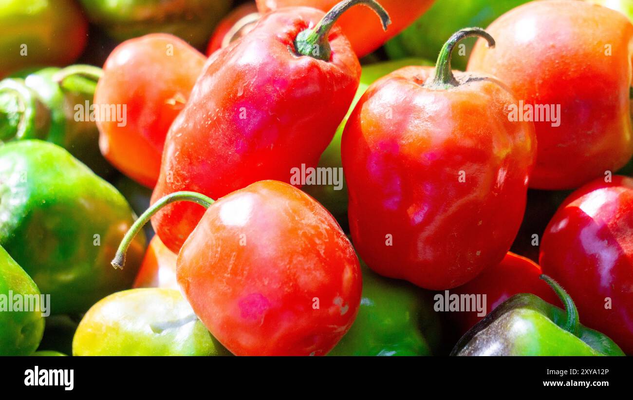 Habanero gendot chilli peppers hi-res stock photography and images - Alamy