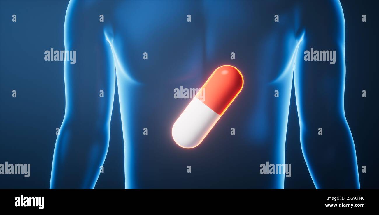 Transparent human body internal hi-res stock photography and images - Alamy