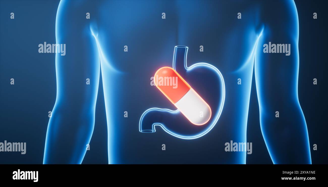 Organ stomach and pill in the transparent human body, 3d rendering. 3D ...