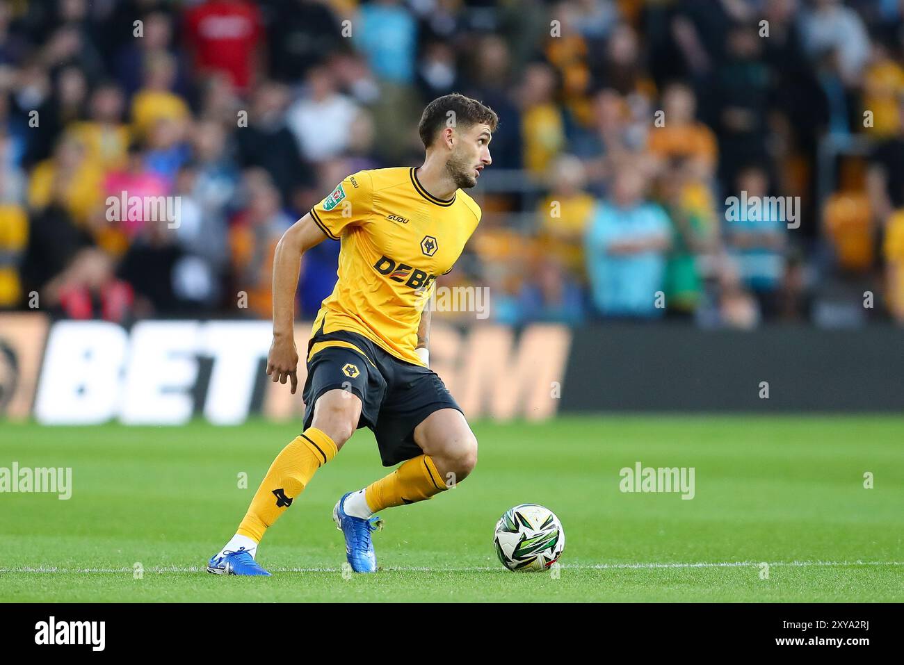 Bueno wolves hi-res stock photography and images - Alamy