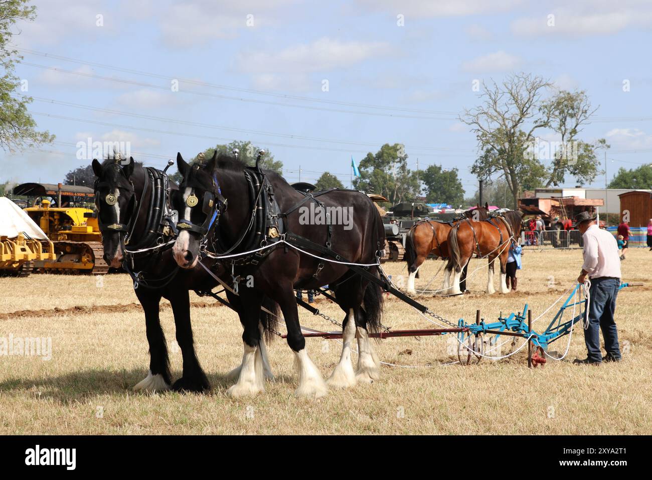 HEAVY HORSES DEMONSTRATING PLOUGHING TECHNIQUES AT FORDINGBRIDGE STEAM ...