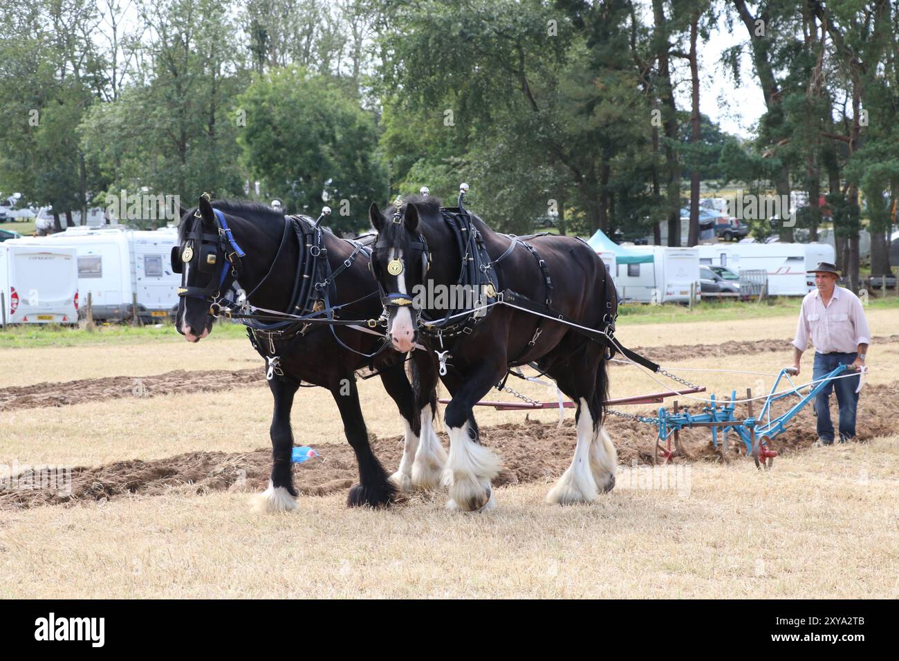 HEAVY HORSES DEMONSTRATING PLOUGHING TECHNIQUES AT FORDINGBRIDGE STEAM ...