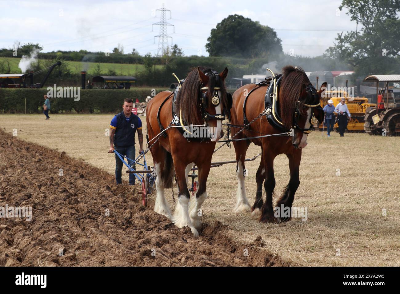 HEAVY HORSES DEMONSTRATING PLOUGHING TECHNIQUES AT FORDINGBRIDGE STEAM ...