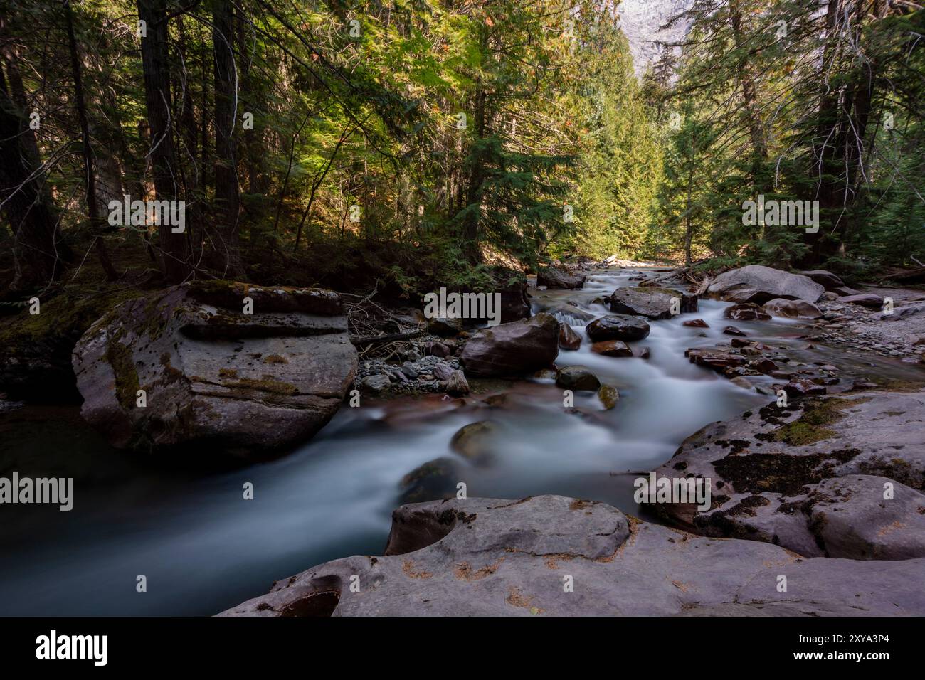 Running river in Glacier National Park Stock Photo - Alamy