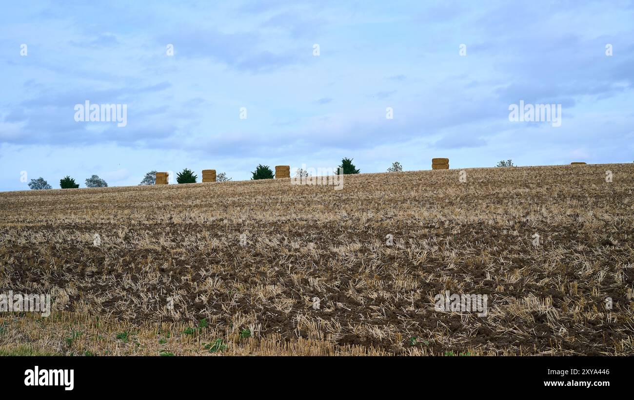 Agricultural field on straw hi-res stock photography and images - Alamy