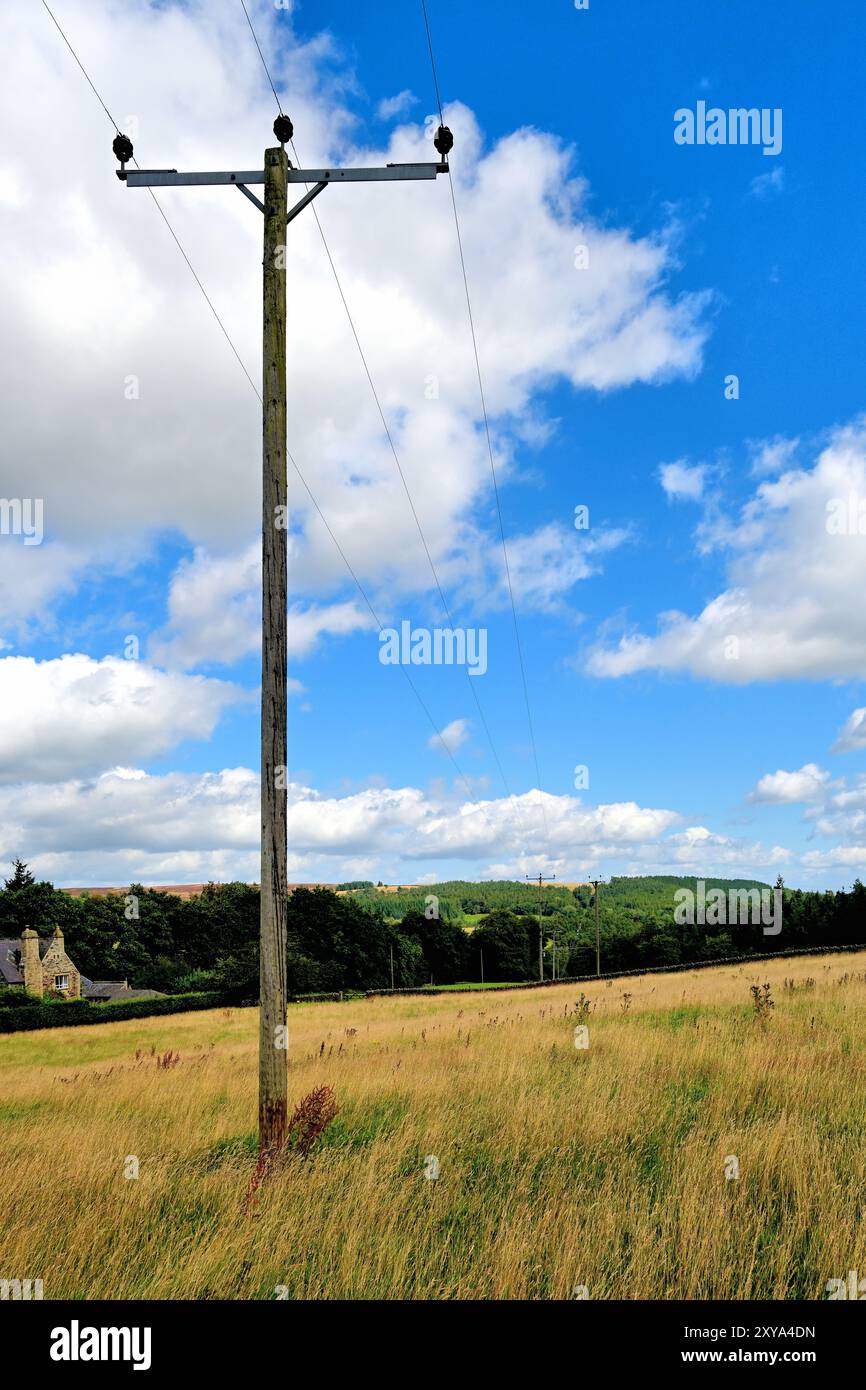 Multiple wooden telephone telegraph power poles transformers and cables ...