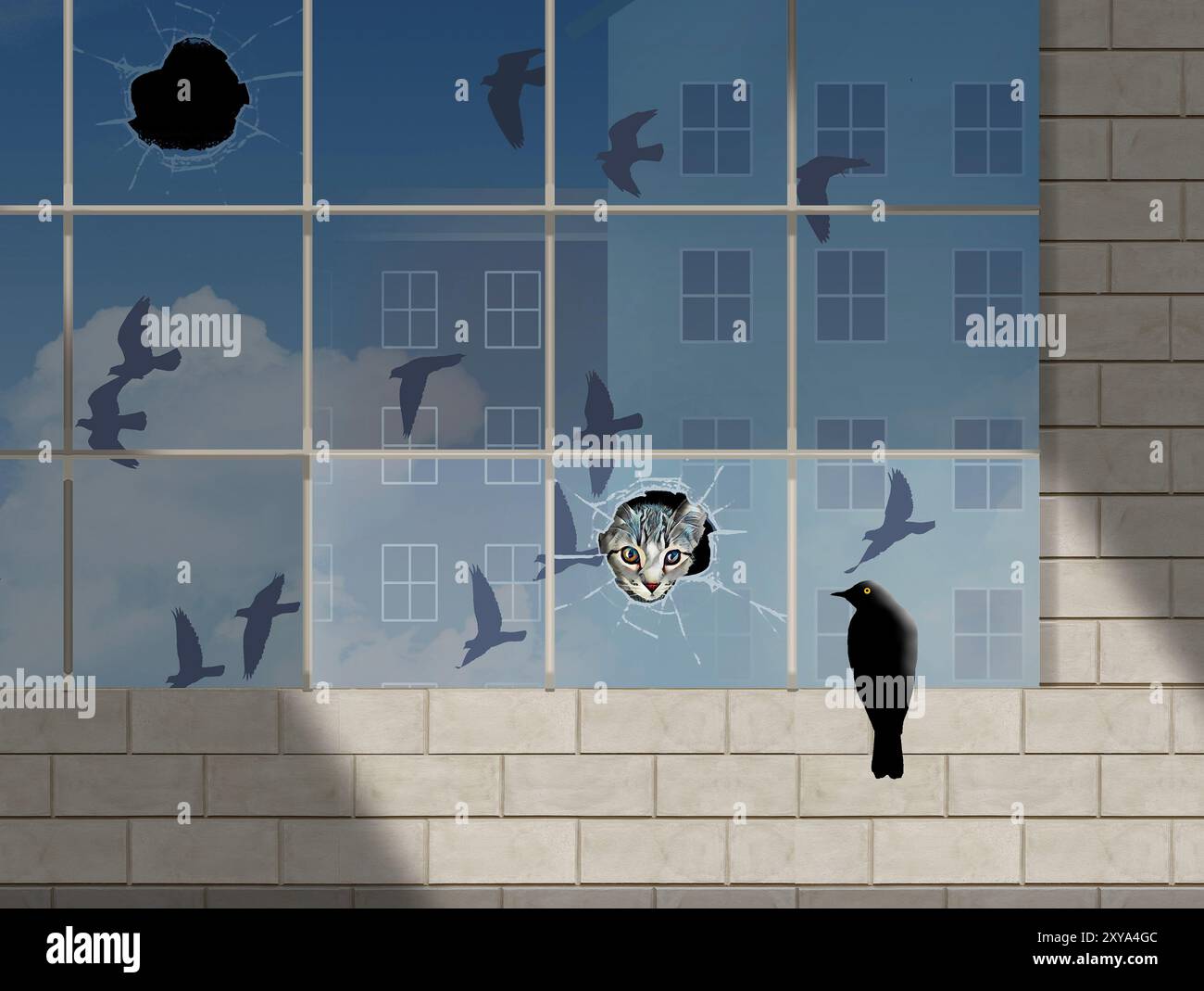 Bird strikes is the topic. Birds flying into reflections on windows of ...