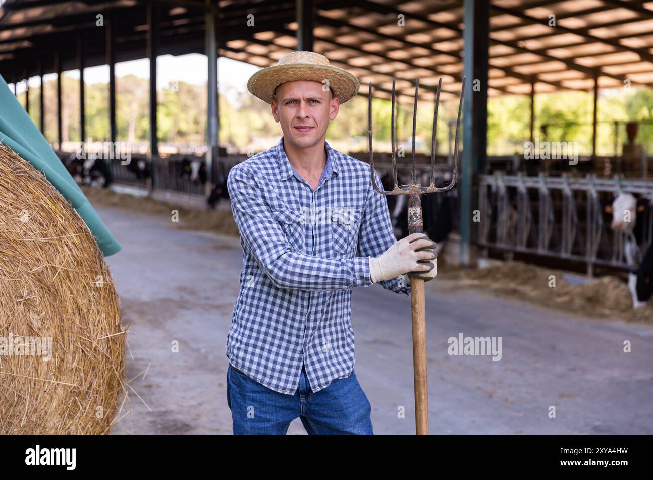 Male farmer posing cowshed hi-res stock photography and images - Alamy