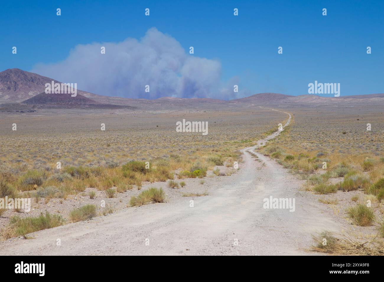 Smoke plume from the Ribbon Fire of August 2024 photographed from US-95 ...
