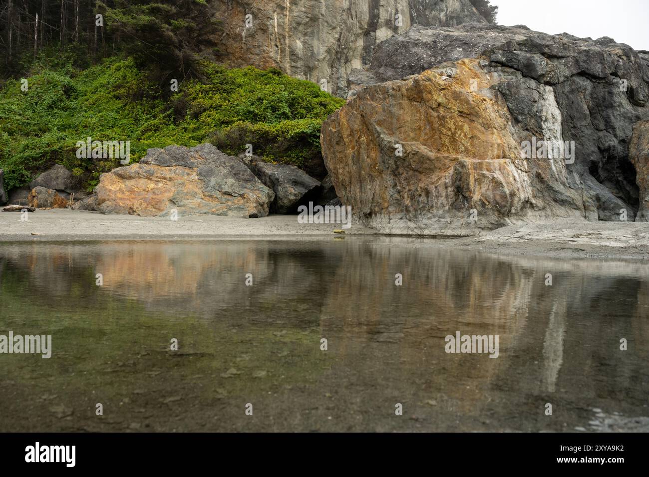 Tidal Pool At The Base Of Large Rocks On the Coastal Trail At Low Tide ...
