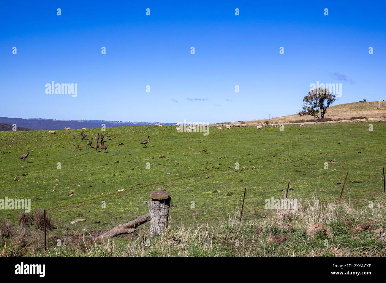 Abercrombie river national park hi-res stock photography and images - Alamy
