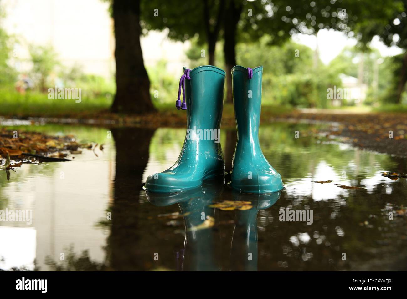Pair of colorful rubber boots in puddle outdoors Stock Photo - Alamy