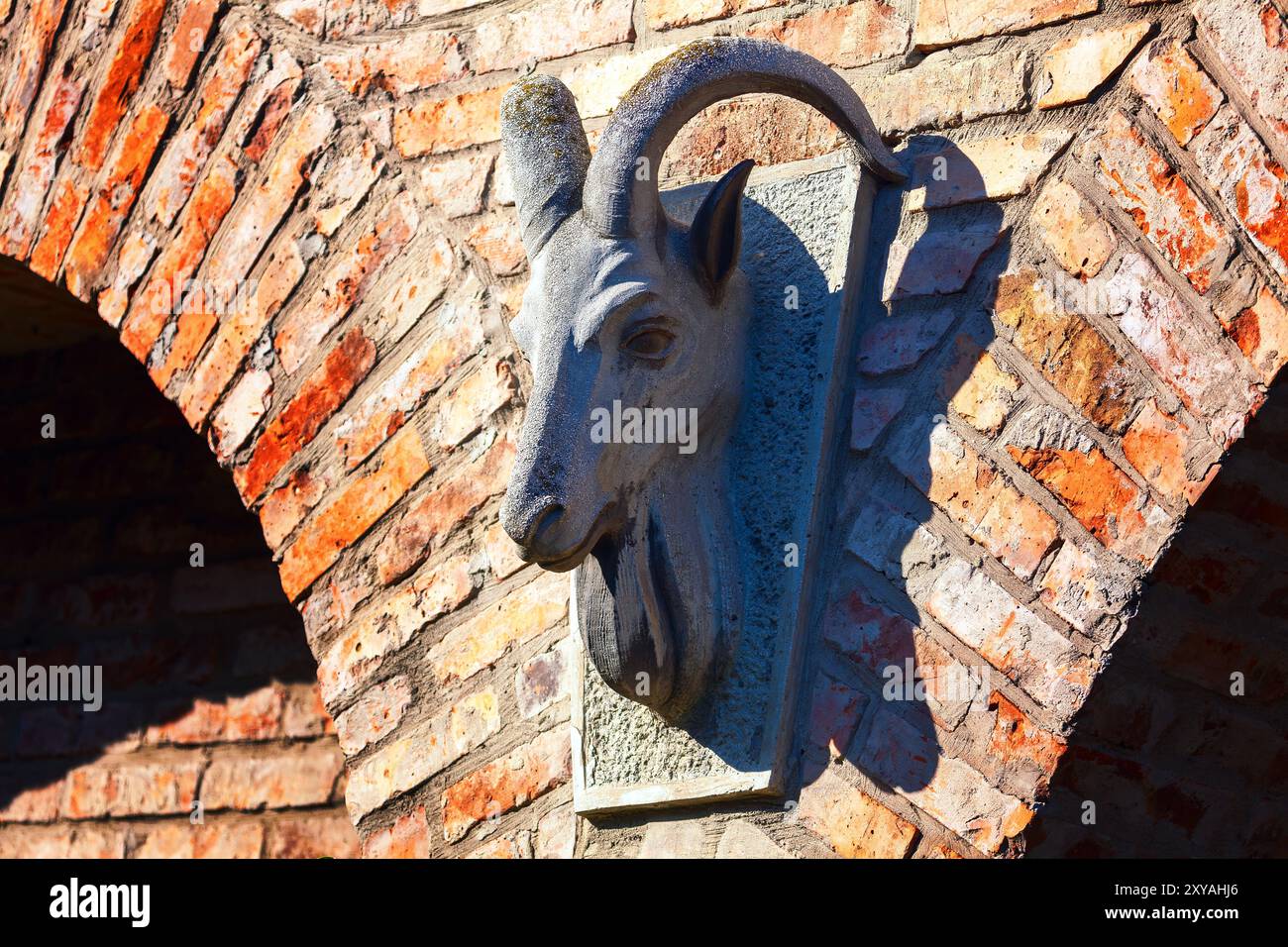 Goat head is mounted on a brick wall. Stone goat head mounted on a ...