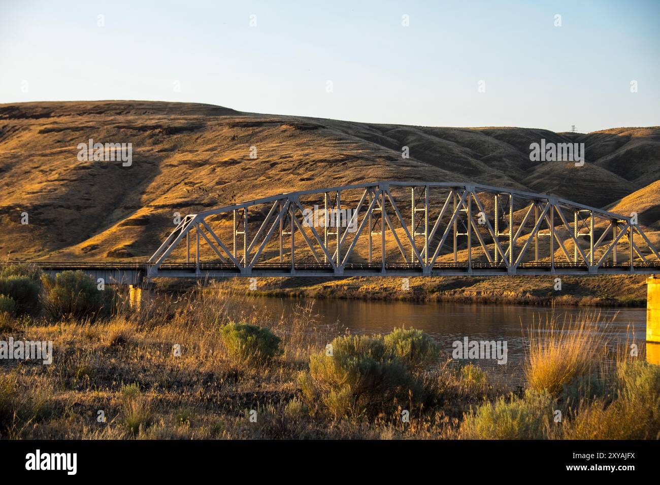 Over snake hi-res stock photography and images - Alamy