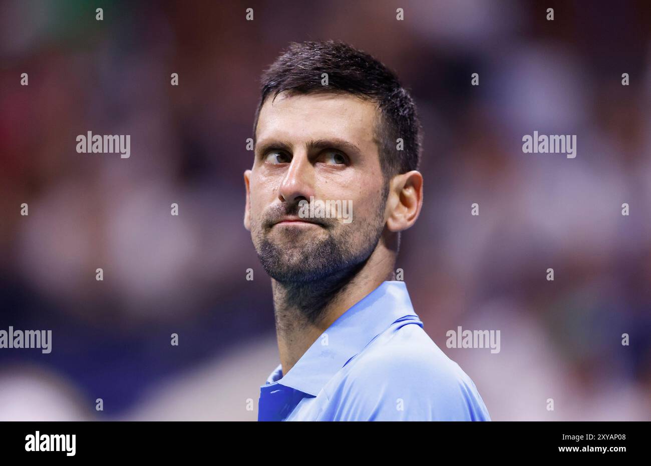 Djokovic us open 2024 reacts hi-res stock photography and images - Alamy