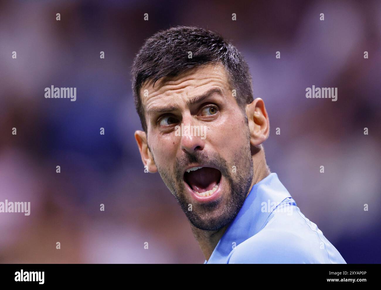 Flushing Meadow, United Stated. 28th Aug, 2024. Novak Djokovic of ...