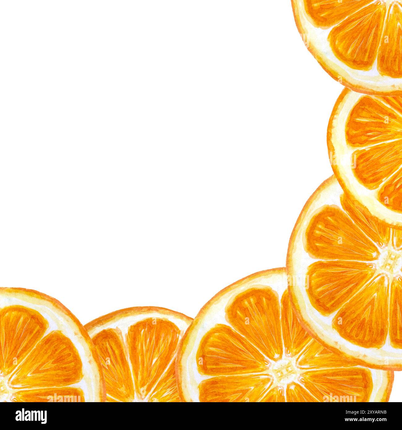 Bright citrus, orange slice corner frame in watercolor isolated on ...