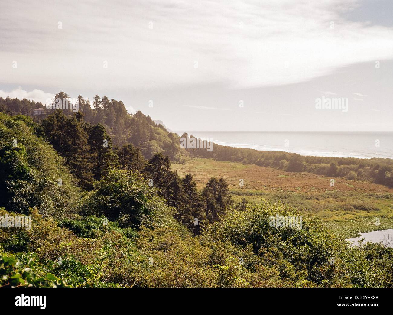 Oregon greenery hi-res stock photography and images - Alamy
