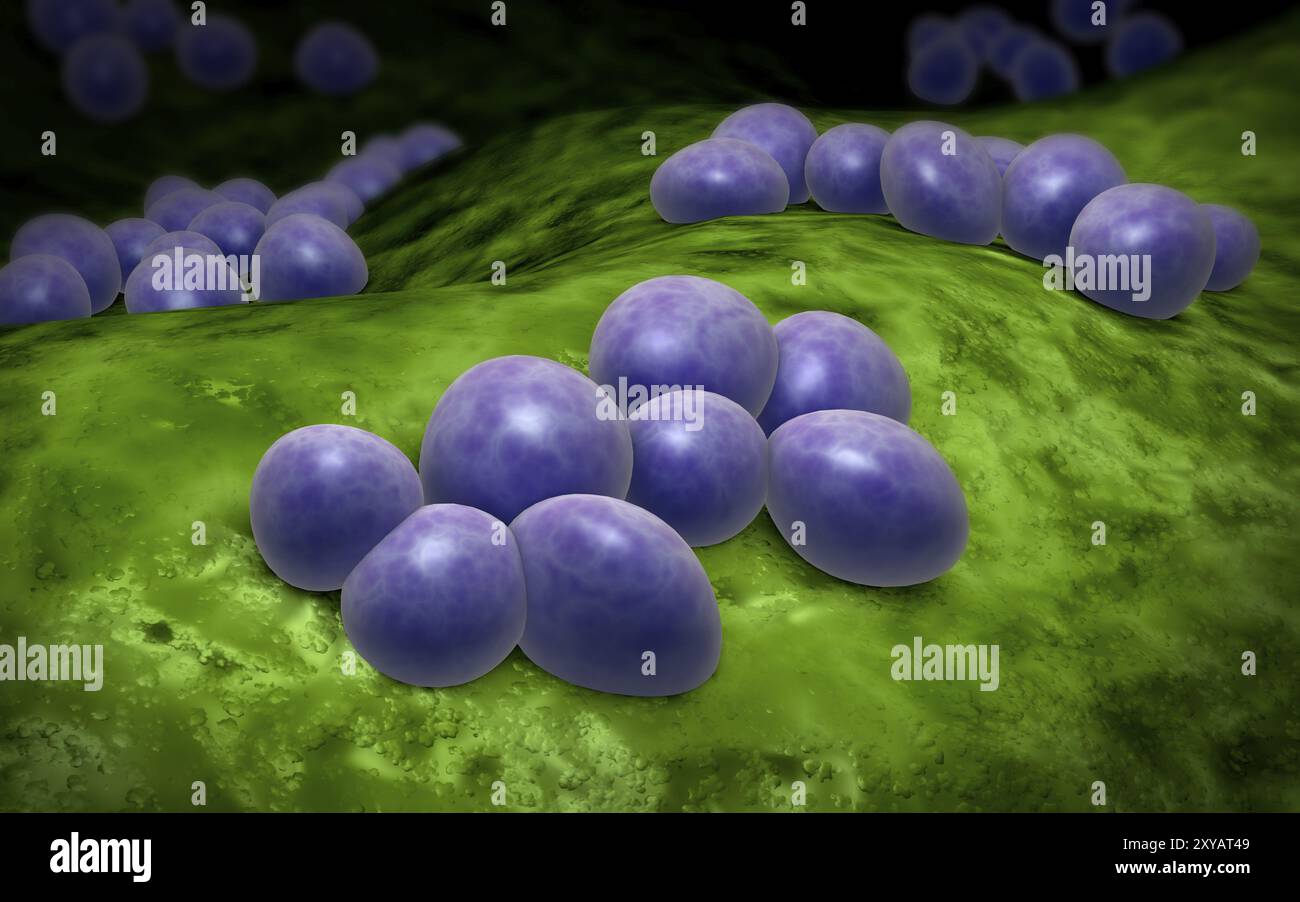 Detailed microscopic sections hi-res stock photography and images - Alamy