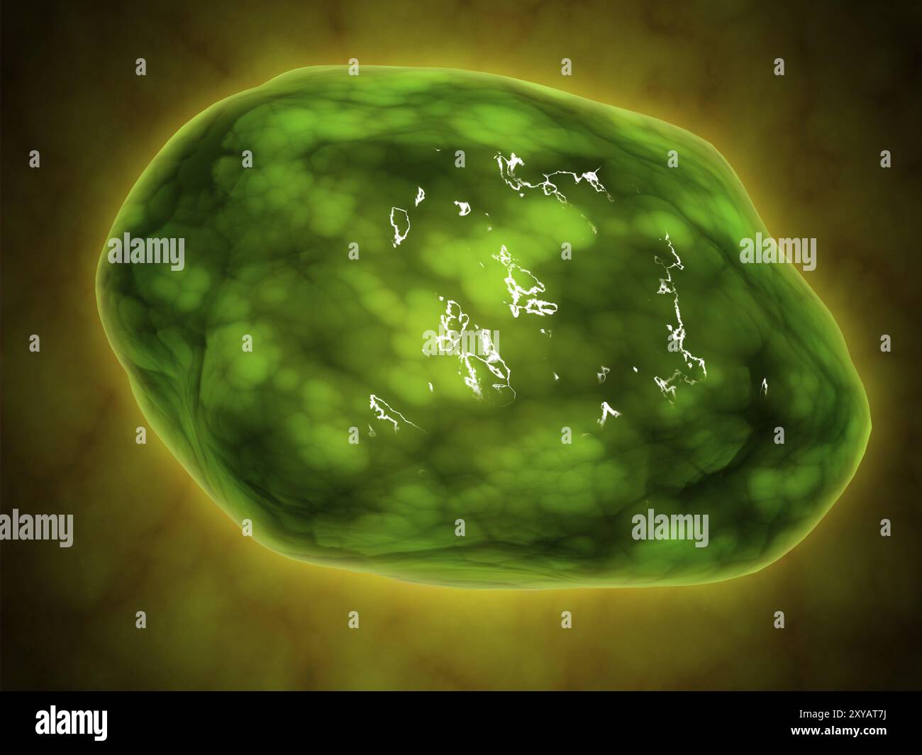 Lysosome hi-res stock photography and images - Alamy
