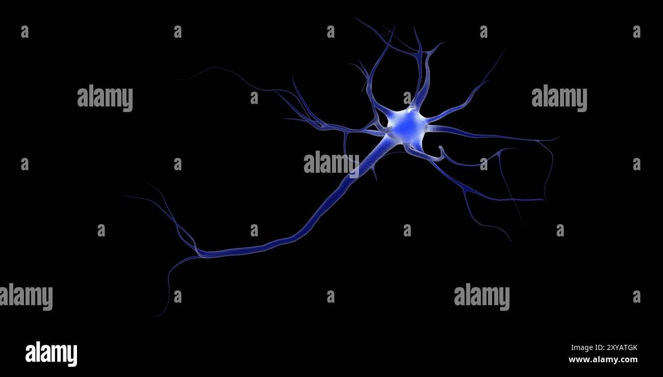 Detailed neuron hi-res stock photography and images - Alamy