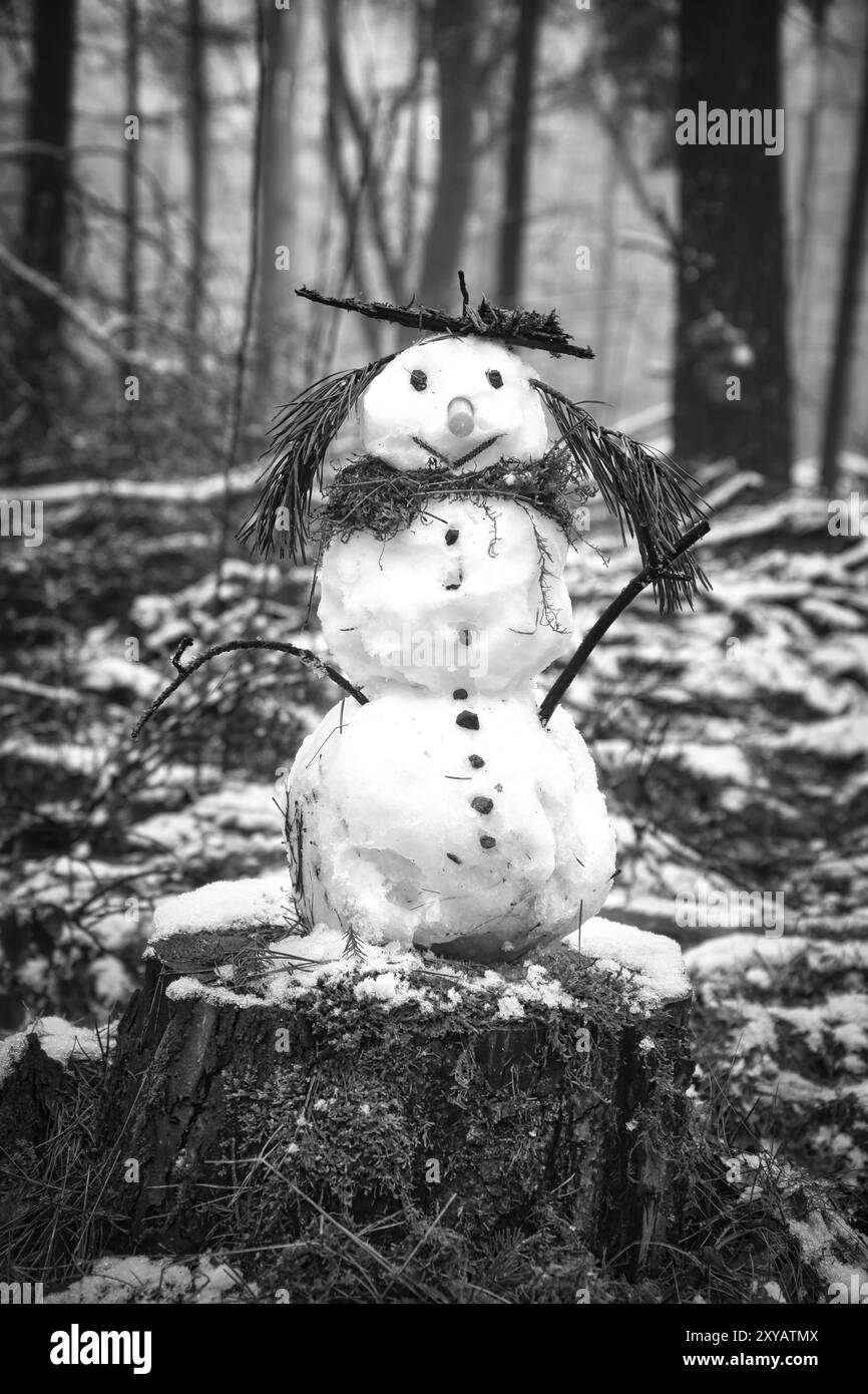 Snowman arm Black and White Stock Photos & Images - Alamy