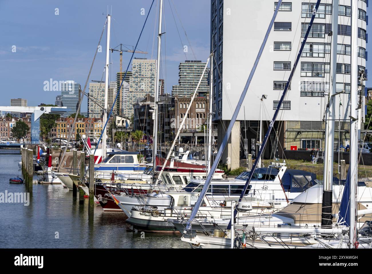 Rotterdam Marina, sports boat harbour, sailing boats, motor yachts, in ...