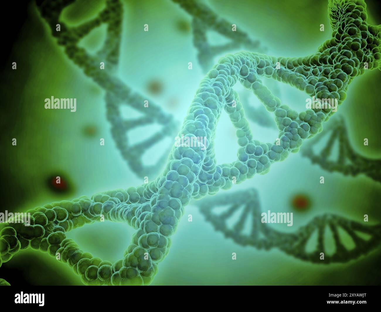 Microscopic view of DNA Stock Photo - Alamy