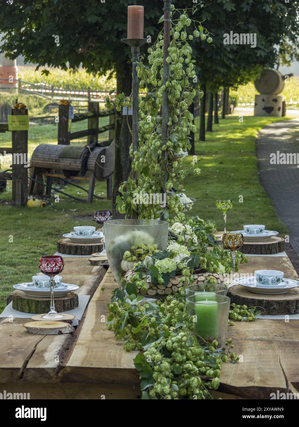 An outdoor decorated table with bowls, glasses and plants in a rural ...