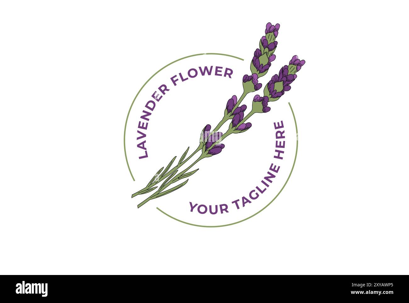 Fragrant grass design Stock Vector Images - Alamy