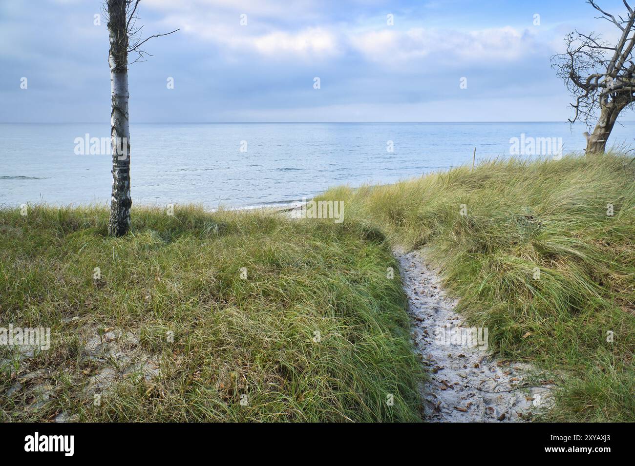 Groyne crossing hi-res stock photography and images - Alamy