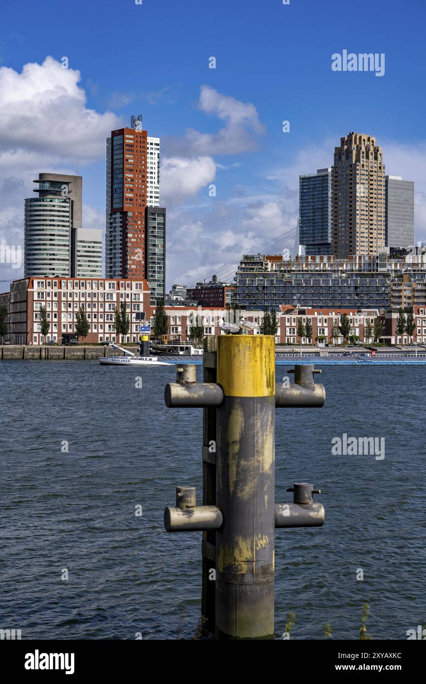 Harbour basin of the Maashaven, inland waterway port, jetties ...