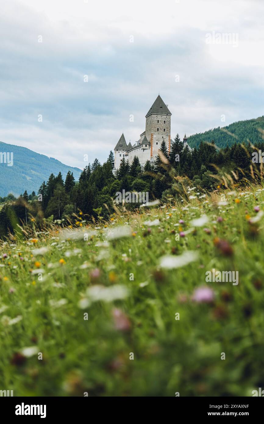 Medieval castle in the mountains in a flower field under a cloudy sky ...