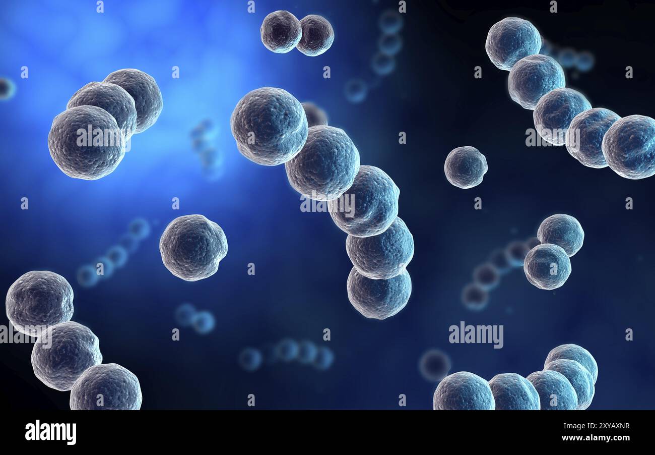 Streptococcus hi-res stock photography and images - Alamy