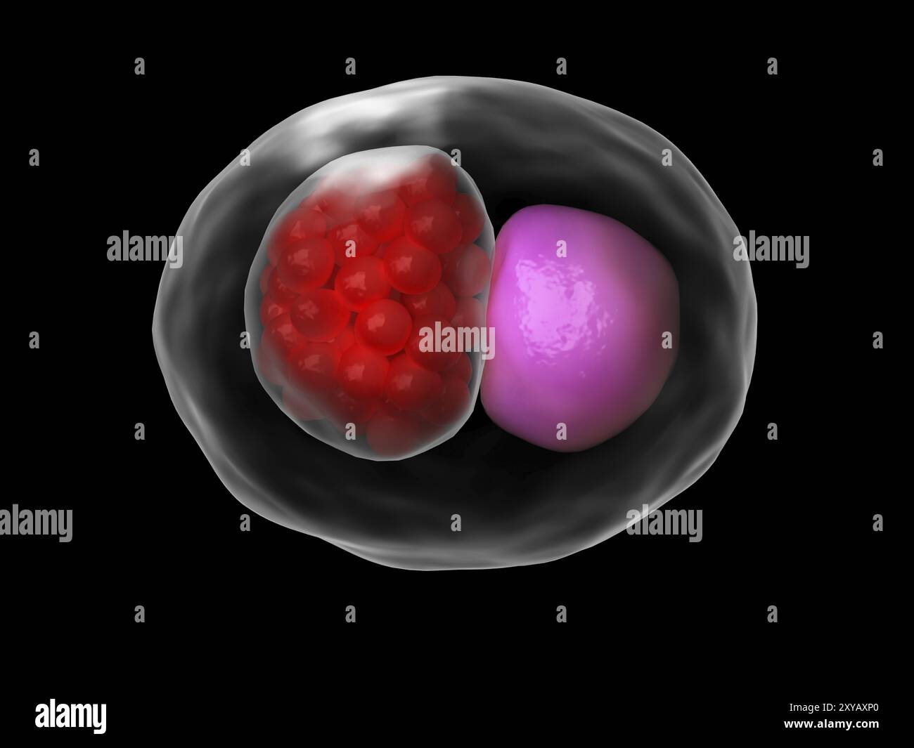 Microscopic symbol hi-res stock photography and images - Alamy