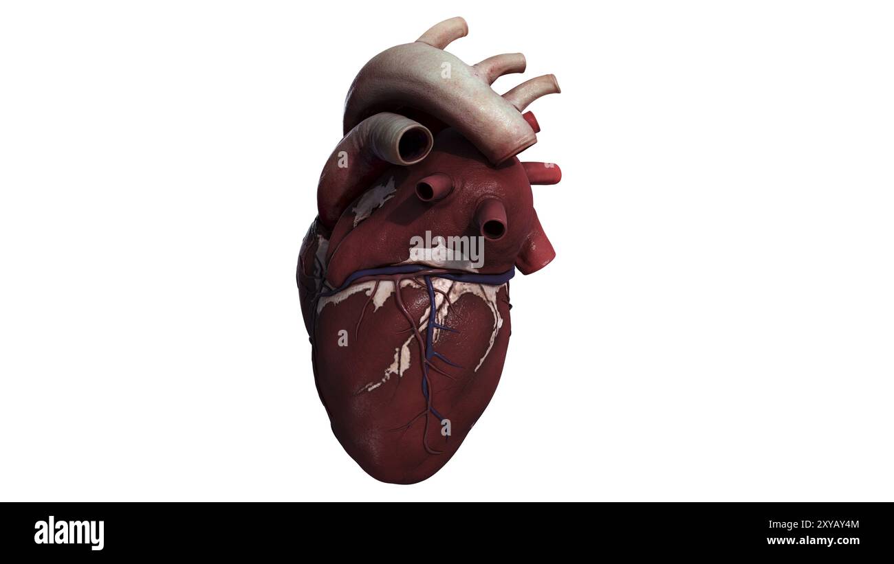 Circuit overview Cut Out Stock Images & Pictures - Alamy