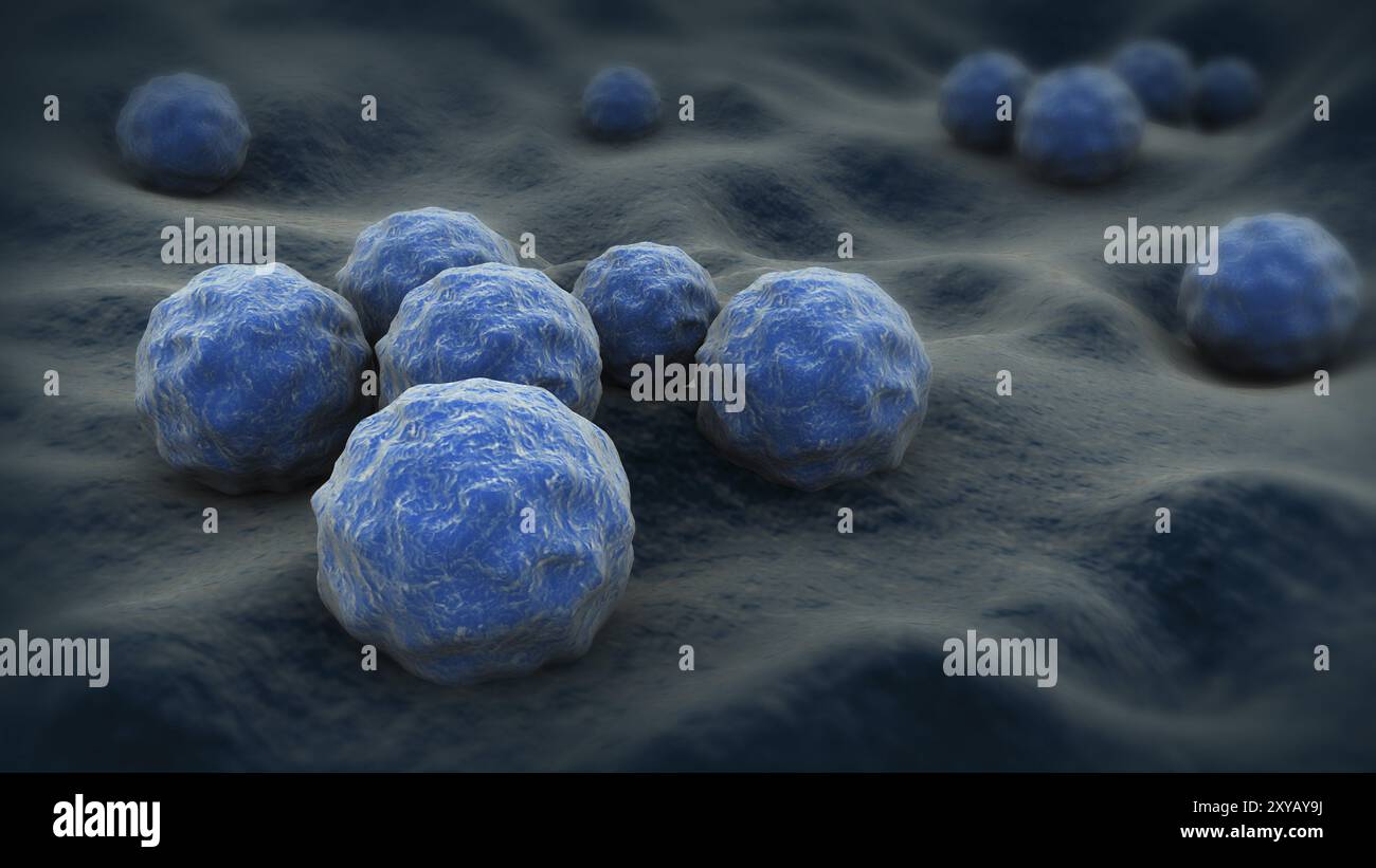 Sexually transmitted diseasees hi-res stock photography and images - Alamy