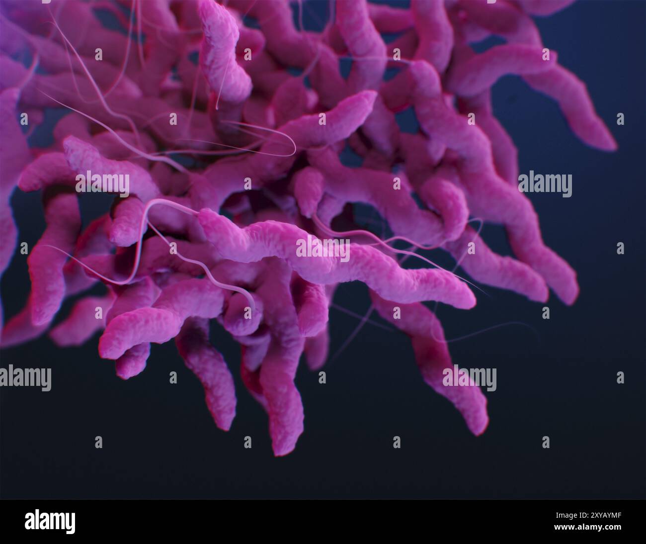 Electron microscope cell membrane hi-res stock photography and images ...