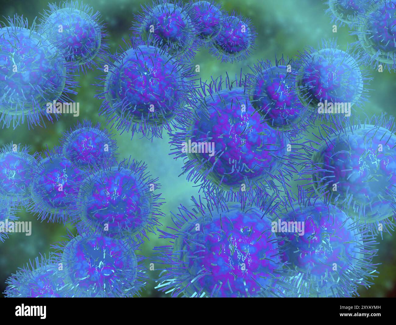 Detailed microscopic sections hi-res stock photography and images - Alamy